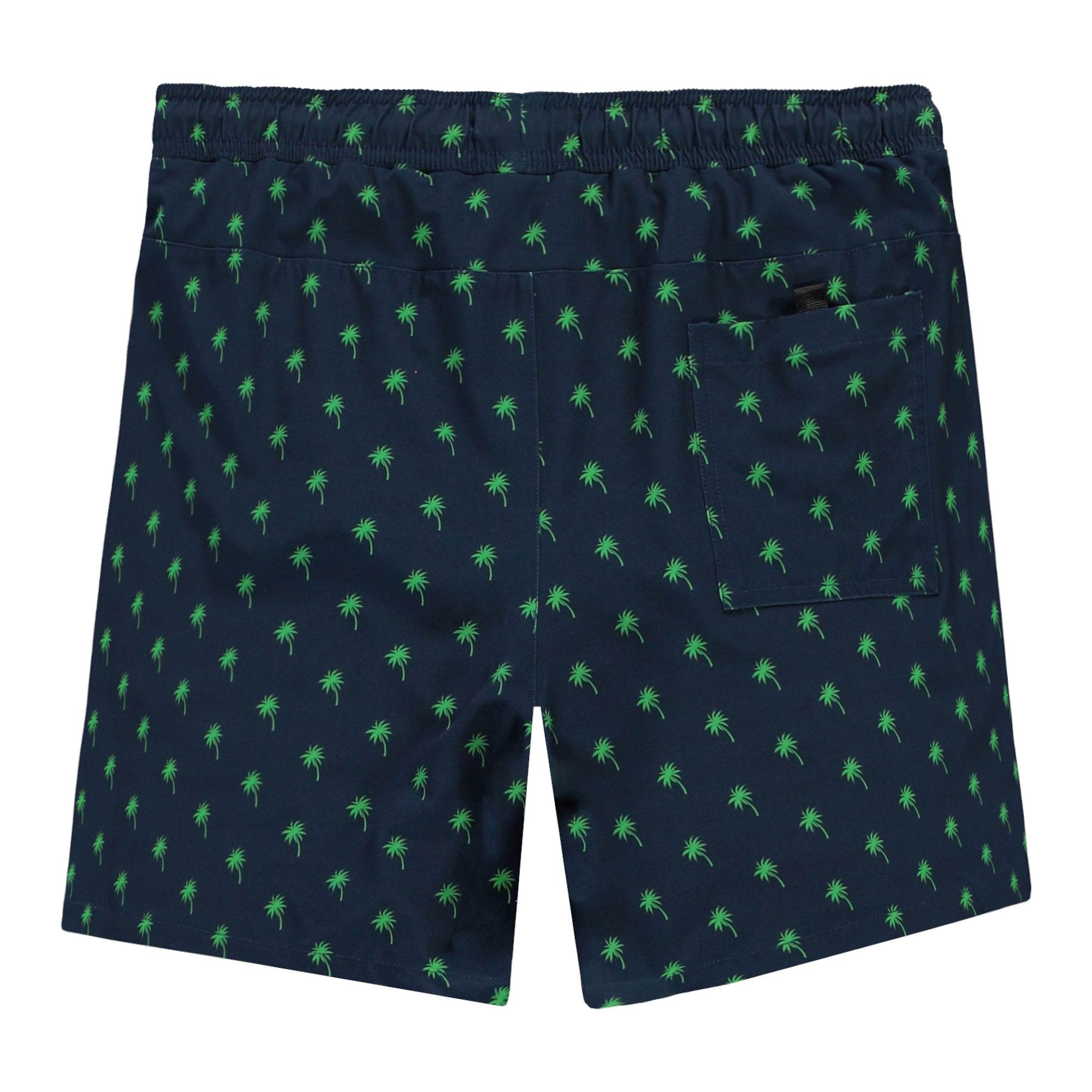 Cars Zol Swimshort Men | Plutosport