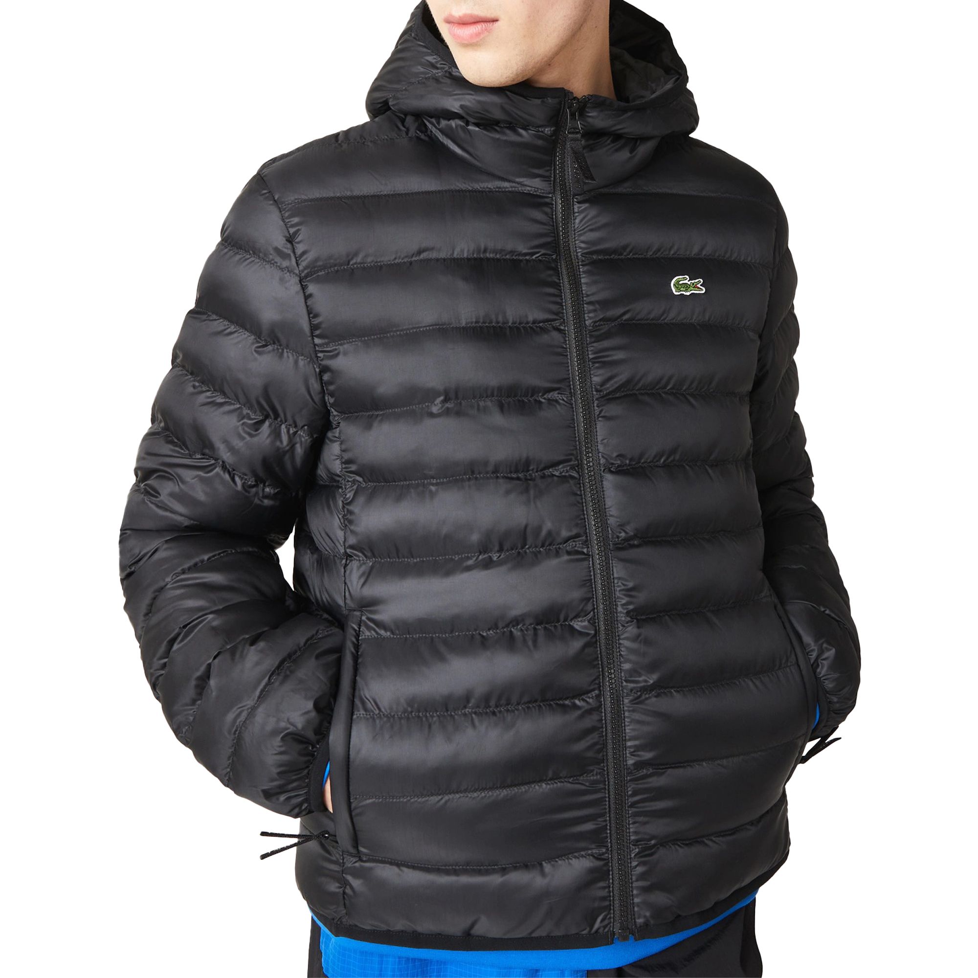 Veste Lacoste Hommes | Plutosport