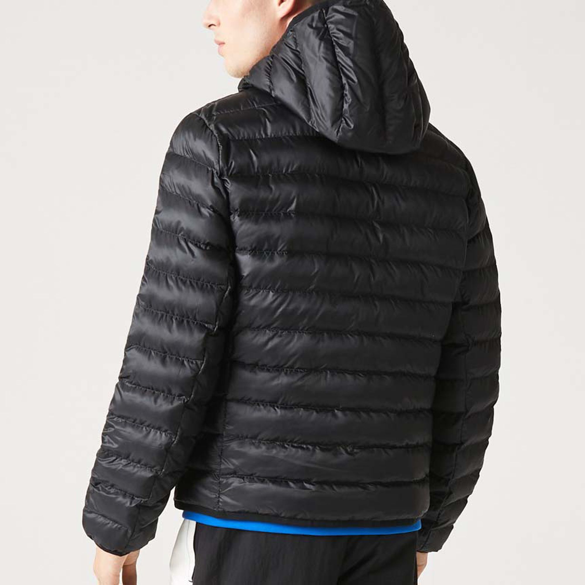 Veste Lacoste Hommes | Plutosport
