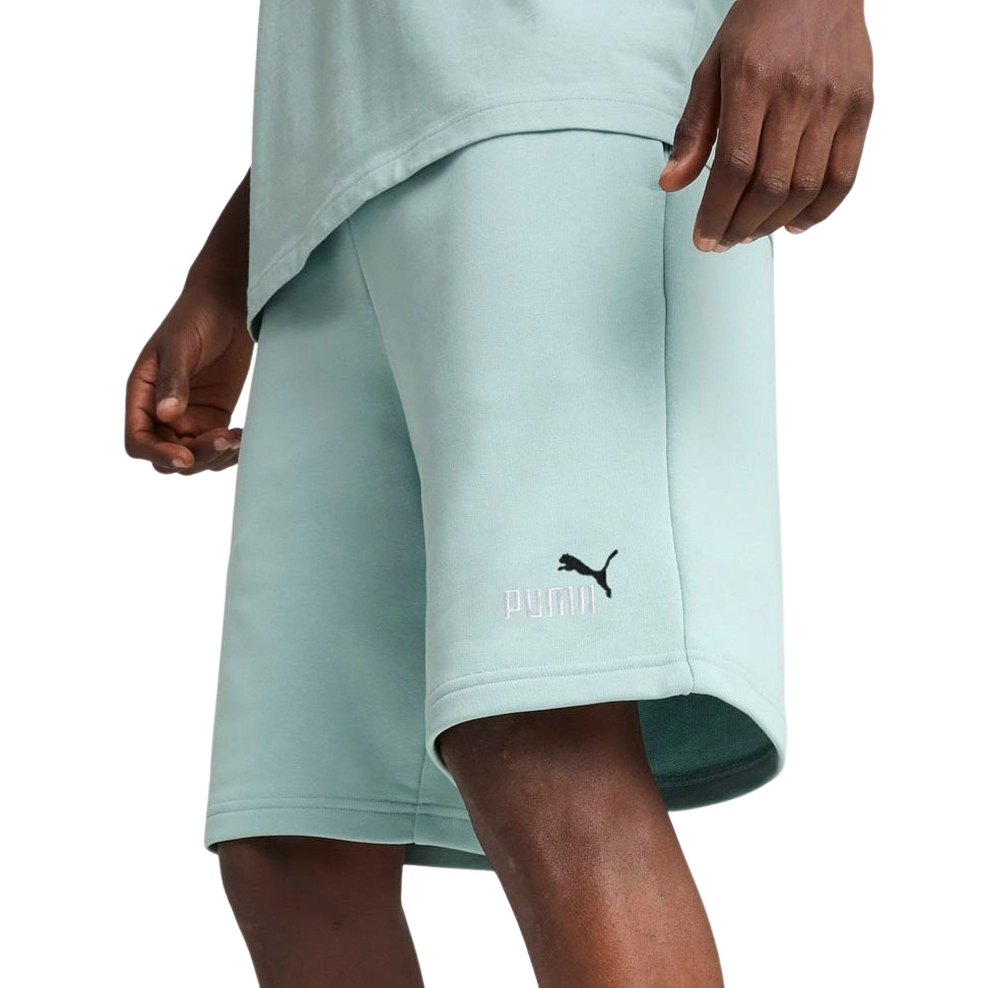 Puma Essentials 2 Color No. 1 Logo Short Heren | Plutosport