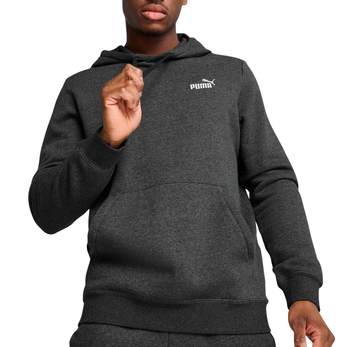 Puma Essentials Small No. 1 Logo Fleece Hoodie Heren | Plutosport