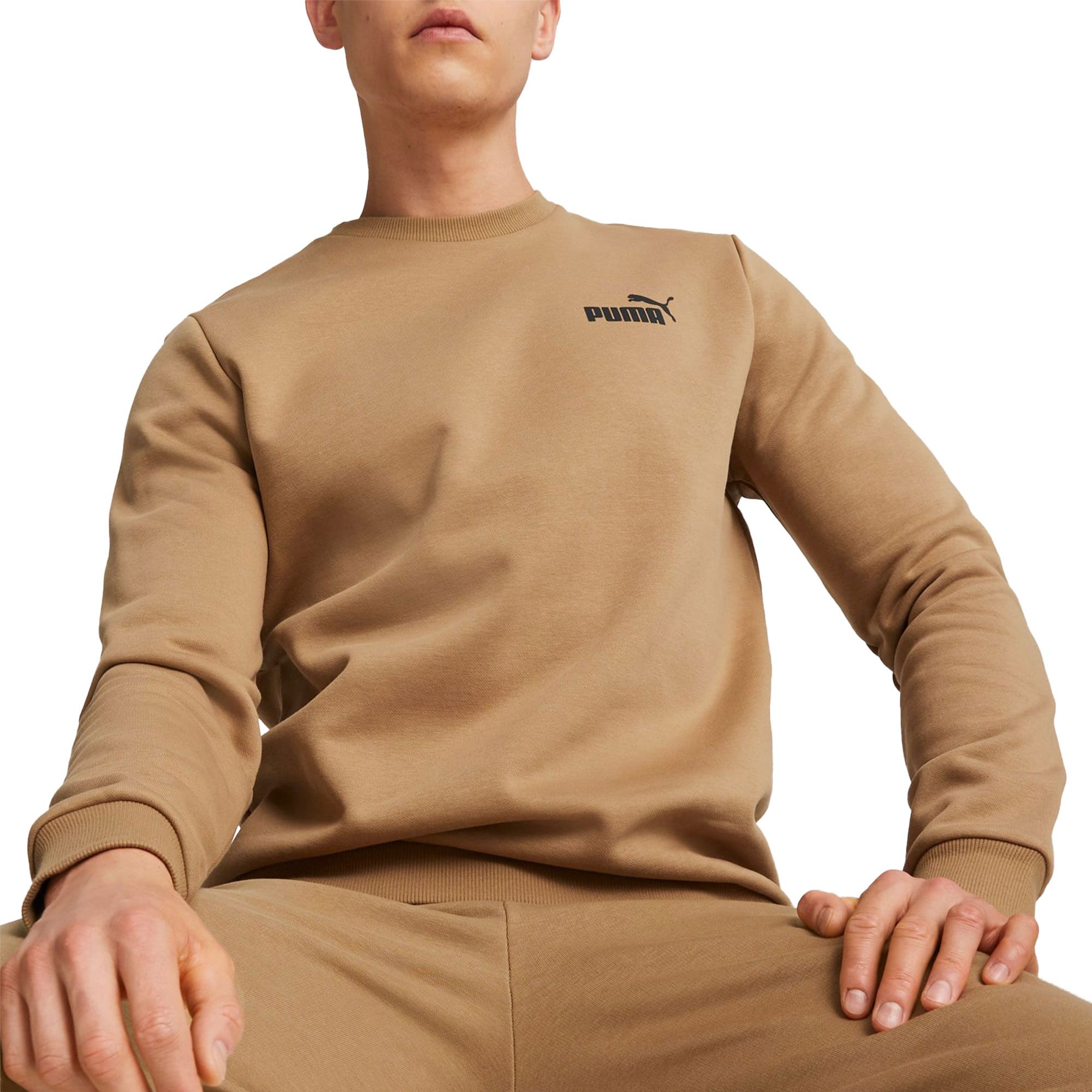 Pull Puma Essentials Small Logo Hommes | Plutosport