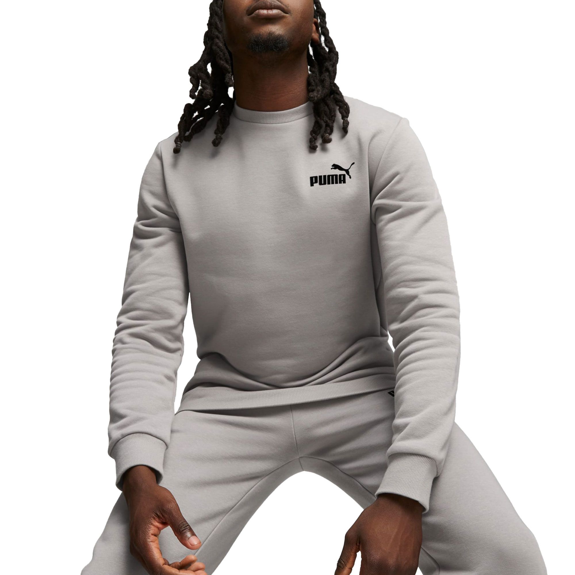 Pull Puma Essentials Small Logo Hommes | Plutosport